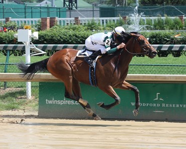 Golden Domer - Horse Profile - BloodHorse
