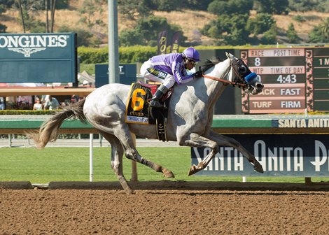 Cupid Returns From Layoff to Win Gold Cup - BloodHorse