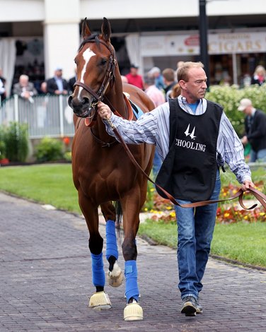 Zayat Critical of Firm's Effort to Reacquire Assets - BloodHorse