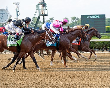 Irish War Cry - Horse Profile - BloodHorse