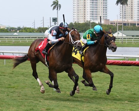 Earth First Winner for Claiborne's Orb - BloodHorse