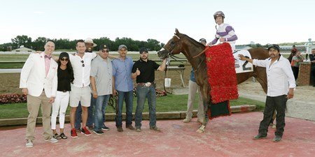 Irap - Horse Profile - BloodHorse