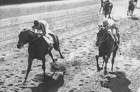 Tom Fool - Horse Profile - BloodHorse