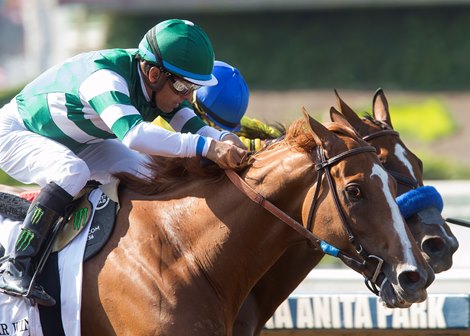Stellar Wind, Vale Dori Face Off Again in Hirsch - BloodHorse