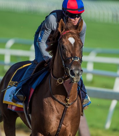 Irish War Cry Takes First Spin Around Belmont Park - BloodHorse
