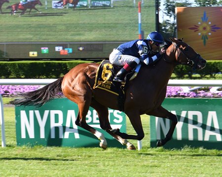 Oscar Performance Wires Pennine Ridge - BloodHorse