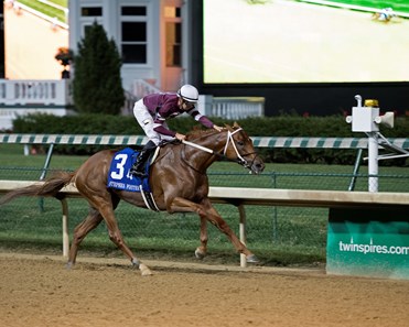 Gun Runner - Horse Profile - BloodHorse