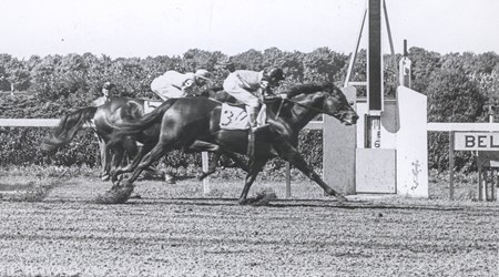 Tom Fool - Horse Profile - BloodHorse