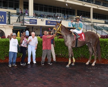 Cotton Tooyah - Horse Profile - BloodHorse