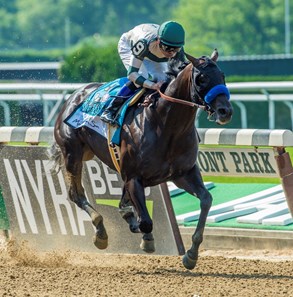 Mor Spirit - Horse Profile - BloodHorse