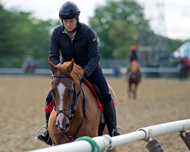 Whitmore - Horse Profile - BloodHorse