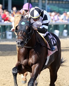 Limousine Liberal - Horse Profile - BloodHorse