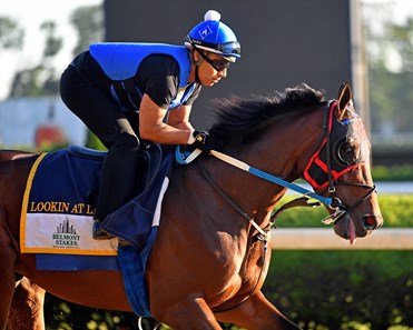 Lookin At Lee - Horse Profile - BloodHorse