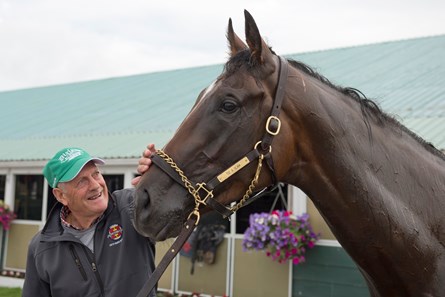 Tiz a Slam - Horse Profile - BloodHorse