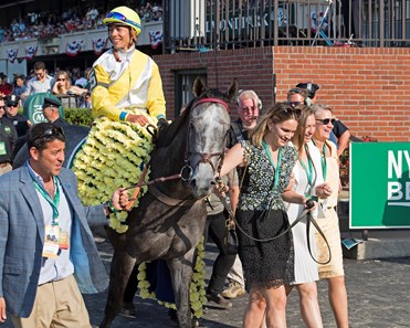 Ascend - Horse Profile - BloodHorse