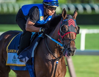 Lookin At Lee - Horse Profile - BloodHorse