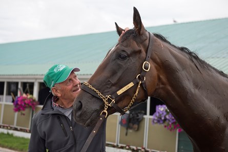 Tiz a Slam - Horse Profile - BloodHorse