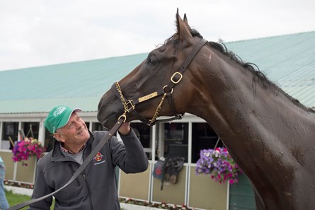 Tiz a Slam - Horse Profile - BloodHorse