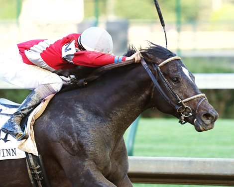 Airdrie Stud Releases 2019 Stud Fees, Except One - BloodHorse