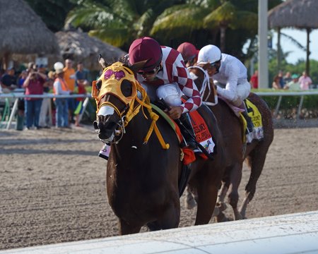 Curlin's Approval Makes Princess Rooney Rebound - BloodHorse