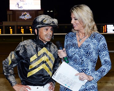 Hence - Horse Profile - BloodHorse