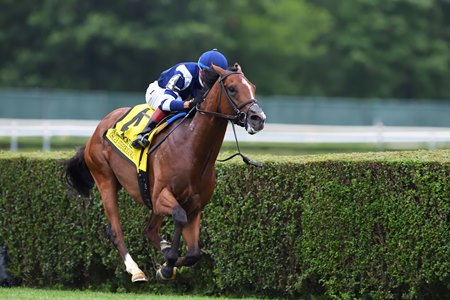 Oscar Performance Seeks Third Grade 1 in Secretariat - BloodHorse
