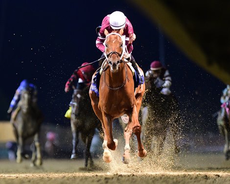 All Eyes on Gun Runner in Whitney Stakes - BloodHorse