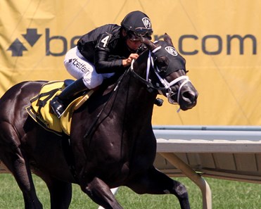 Sharp Azteca - Horse Profile - BloodHorse