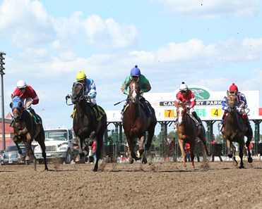 Double Bee Sting - Horse Profile - BloodHorse