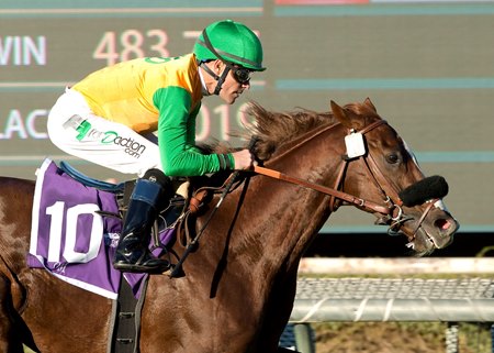 Om Will Carry Emotion, Hope in American Stakes - BloodHorse