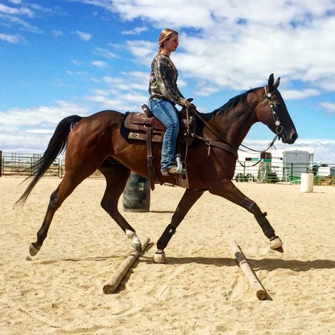 Western Riders Combat Stigma of Riding Thoroughbreds - BloodHorse