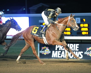 Hence - Horse Profile - BloodHorse