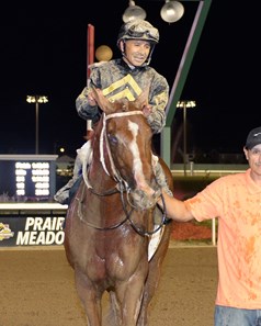 Hence - Horse Profile - BloodHorse