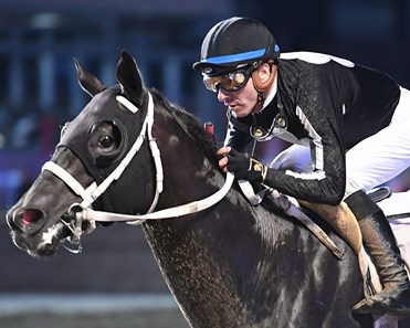 The Tabulator - Horse Profile - BloodHorse