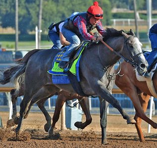 Arrogate Logs Final Work for San Diego Handicap - BloodHorse