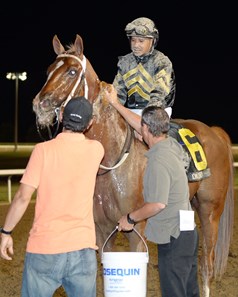 Hence - Horse Profile - BloodHorse