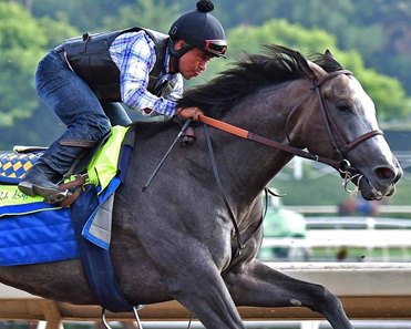 As Arrogate's Stature Builds, So Do Expectations - BloodHorse