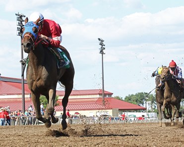 Double Bee Sting - Horse Profile - BloodHorse