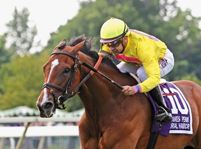 Fourstar Crook - Horse Profile - BloodHorse