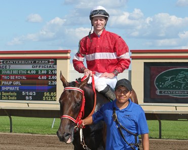 Double Bee Sting - Horse Profile - BloodHorse