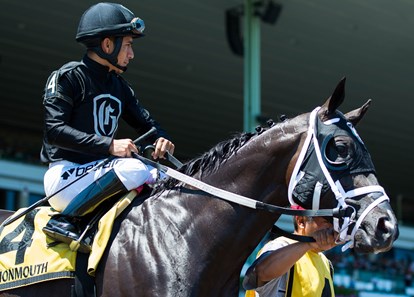 Sharp Azteca - Horse Profile - BloodHorse