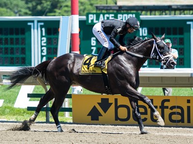 Sharp Azteca - Horse Profile - BloodHorse