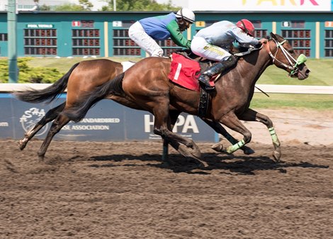 Big Lightning Runners Striking Fast in Alberta - BloodHorse