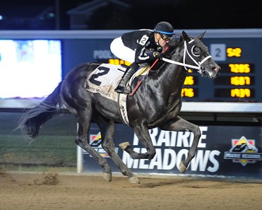 The Tabulator - Horse Profile - BloodHorse