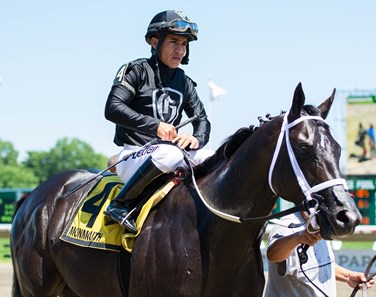 Sharp Azteca - Horse Profile - BloodHorse
