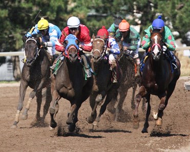 Double Bee Sting - Horse Profile - BloodHorse