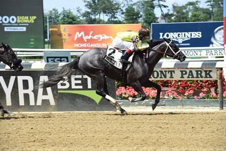 Pure Silver - Horse Profile - BloodHorse