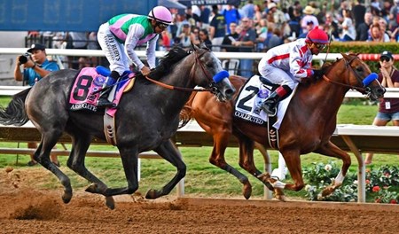 Collected - Horse Profile - BloodHorse