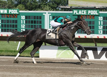 Just Call Kenny - Horse Profile - BloodHorse