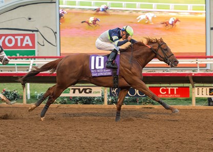 Giant Expectations - Horse Profile - BloodHorse